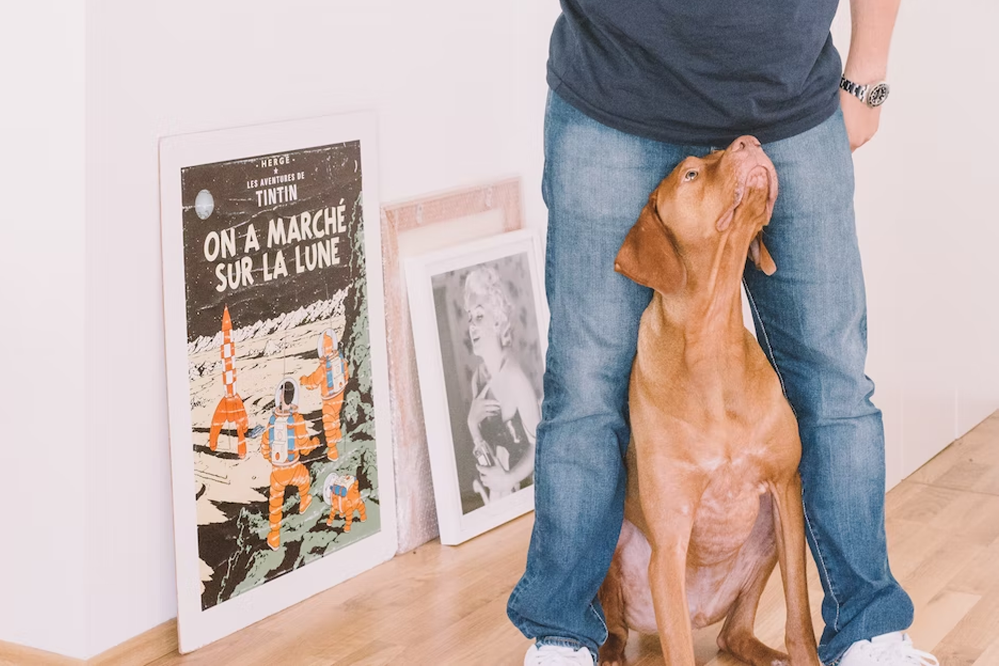 Teach Your Dog How To Spin Around The Room | Petcademy Blog