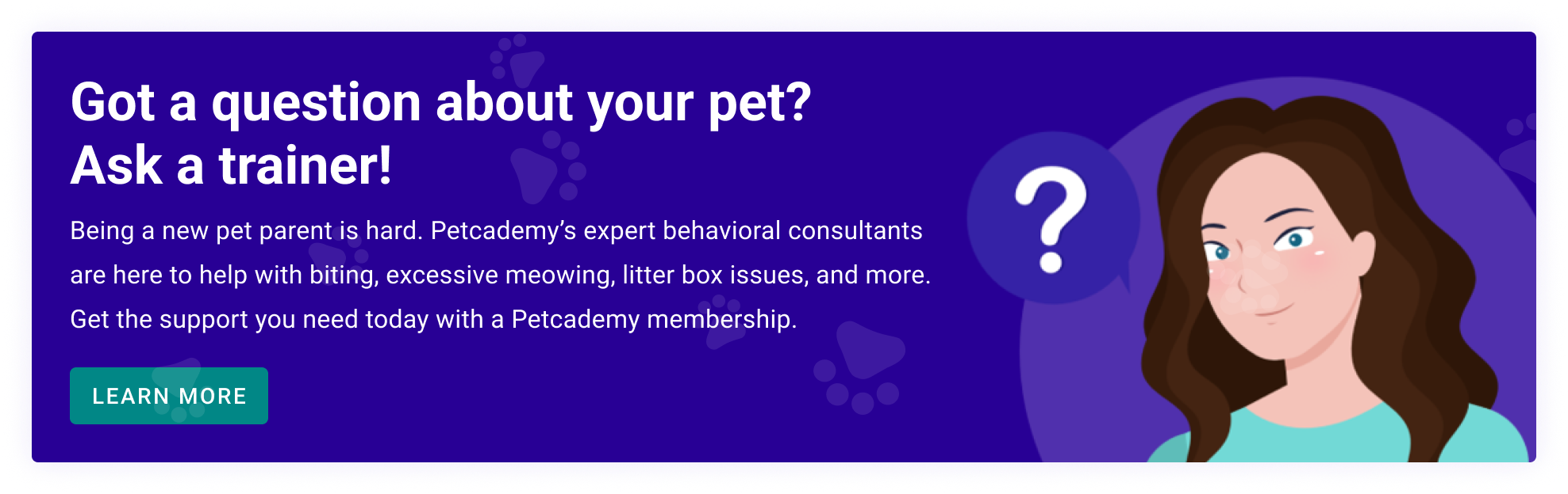 How To Train A Cat To Use A Scratching Post | Petcademy Blog