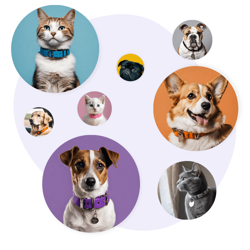 Training and Behavioral Support for Dogs and Cats | Petcademy
